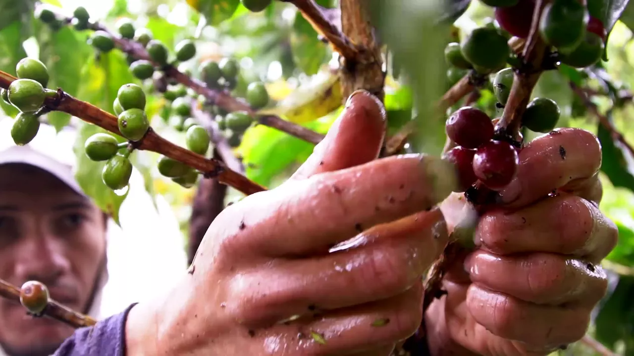 We Respect Farmers | We Share Your Values - Localized Name