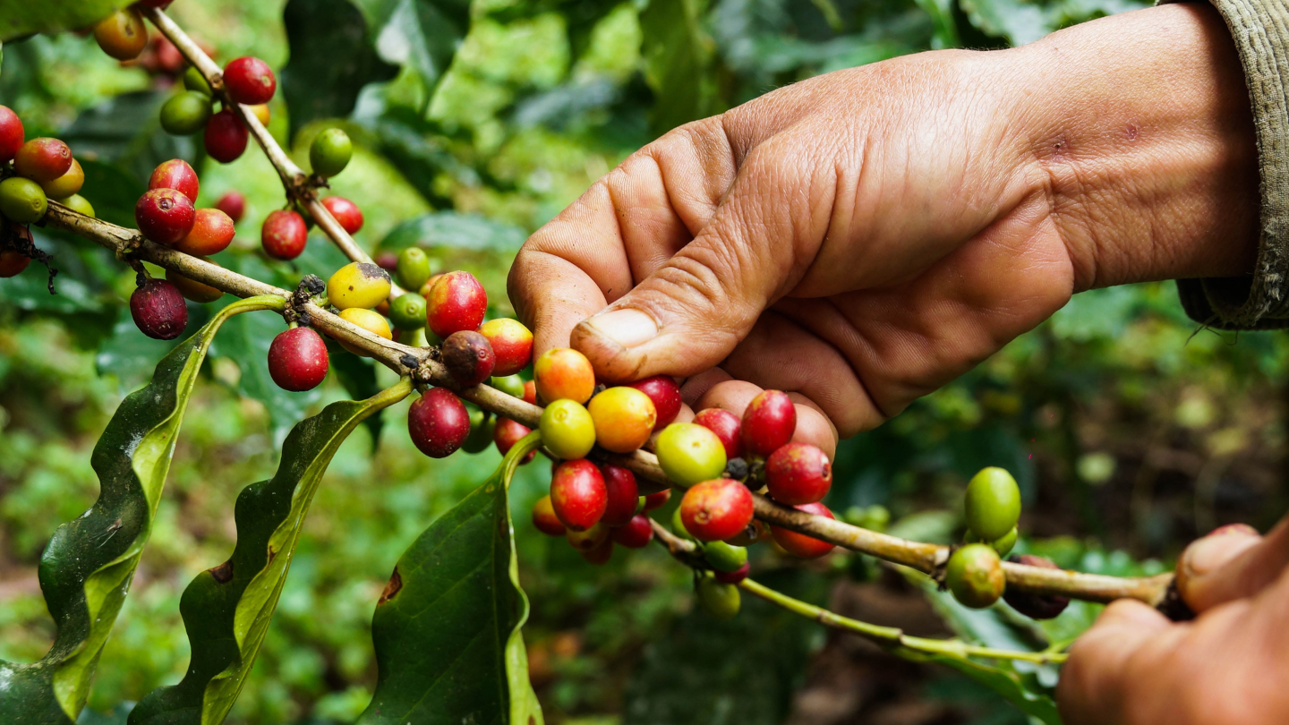 We Respect Farmers | We Share Your Values - Localized Name